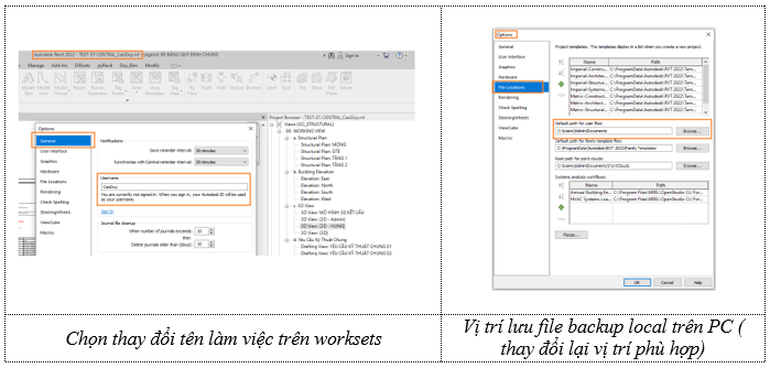Central revit 4 - DLhouse